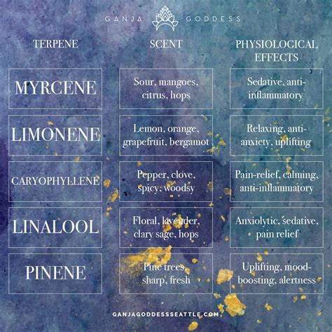 Let S Talk Terpenes Artofit