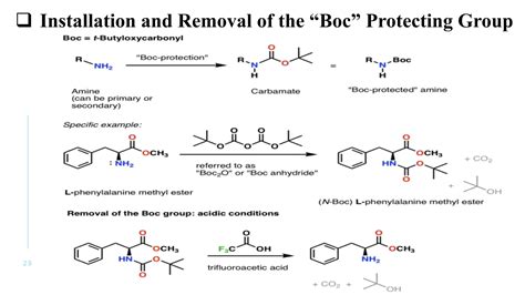 Solid And Solution Phase Peptide Synthesis Pptpptx