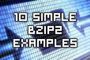 10 Simple Bzip2 Examples