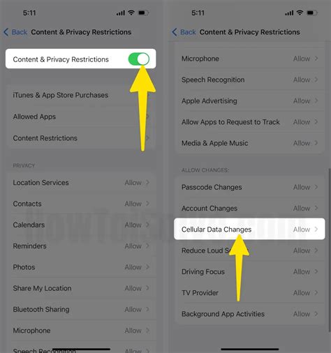Fixes Cant Turn Cellular Data On For Individual Apps On IPhone IOS