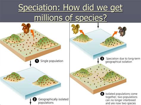 Ppt Chapter 5 Evolution And Community Ecology Powerpoint