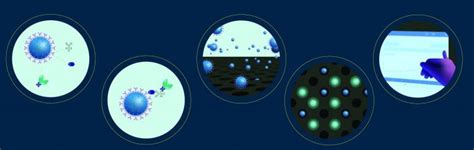 Scientific Principle Of Simoa Single Molecule Array Technology