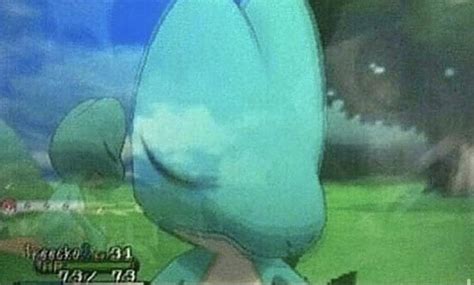 Shines Treecko Anime Opening R Pokemon