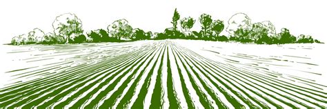 Field Rows Vector Images Over 1 500