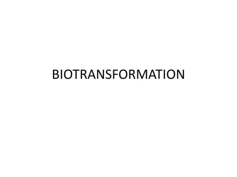 Ppt Biotransformation Powerpoint Presentation Free Download Id9511695