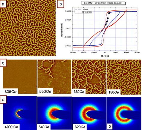 a 10 μm mfm image of the magnetic domain pattern in our [co pd]irmn