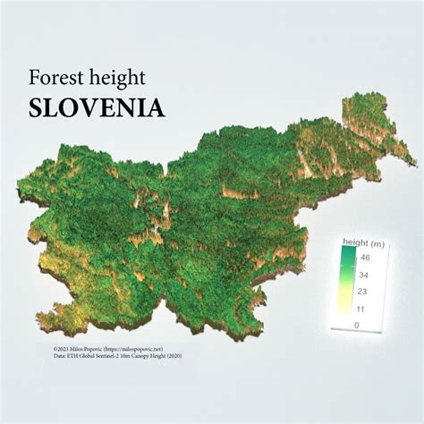 milos popovic phd on linkedin ggplot2 rayshader forest slovenia