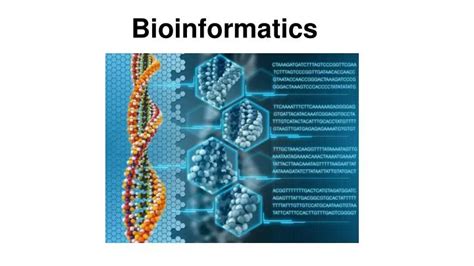 PPT Bioinformatics PowerPoint Presentation Free Download ID