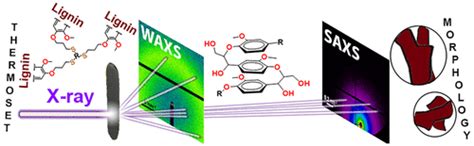 Acs Applied Polymer Materials Vol 2 No 2 Acs Publications