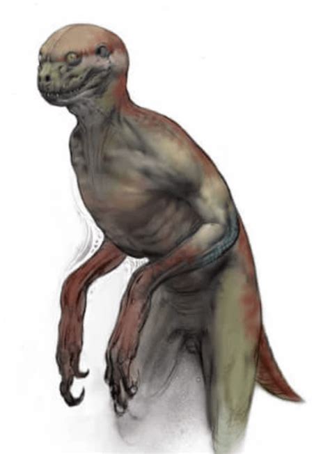 Jurassic Park 4 Dinosaur Man