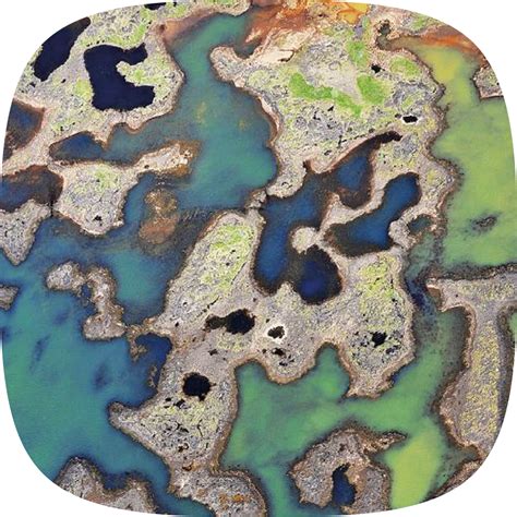 Describe This Force Field Type Pattern Please Grasshopper Mcneel Forum