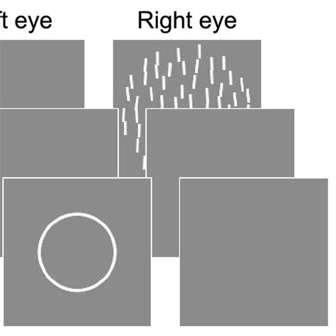 Stimuli Used In Experiment 2 Schematic Of The Temporal Sequence Of The
