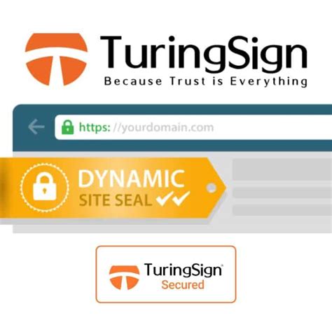 Turingsign Multi Domain Ev Ssl Certificate Secure Up To 250 Domains