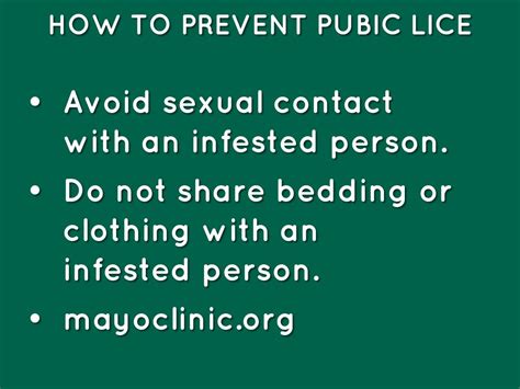 Pubic Lice By Dillon Negrai