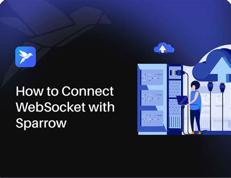 how to connect websocket with sparrow sparrow simplifying api testing sparrow