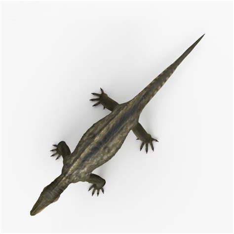 Dimetrodon Hd Modelo 3d 249 3ds C4d Fbx Lwo Ma Obj Max Unknown Free3d