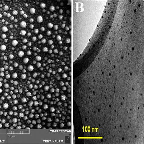 Scanning Electron Microscopy Sem A And Transmission Electron Download Scientific Diagram