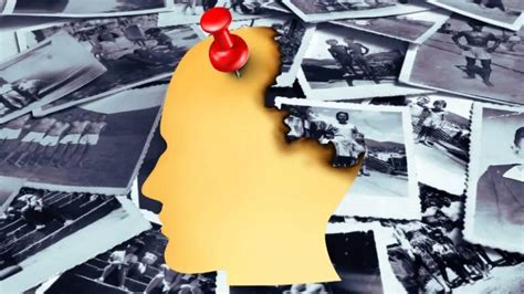 Eidetic Memory How Rare Is It And Who Really Has It North American