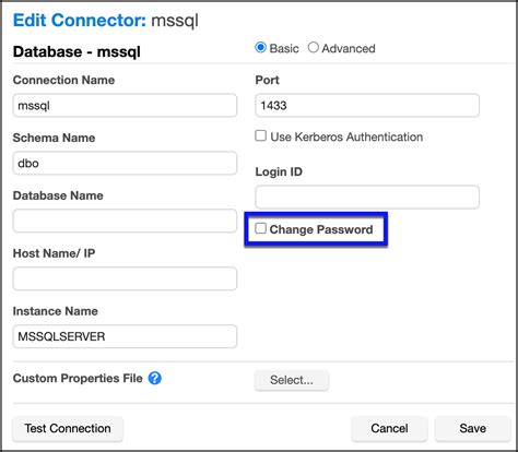 Managing Connectors Delphix Masking Documentation