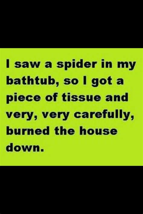 Best Images About Don T Bug Me On Pinterest Giant Spider Mosquito Trap And Slug