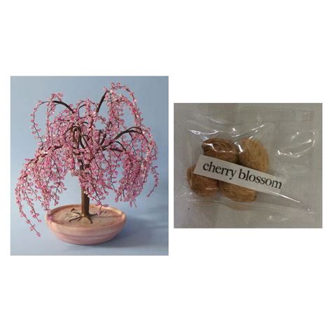 Bonsai Weeping Cherry Tree Plant Seeds Shopee Philippines