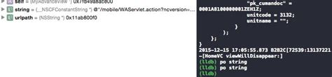 Ios Xcode Lldb Command Po Cant Output Info Stack Overflow
