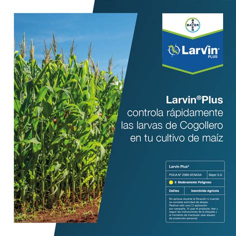 Agro Bayer Perú Larvin Plus® Controla Huevos Y Larvas De Cogollero Mejorando La