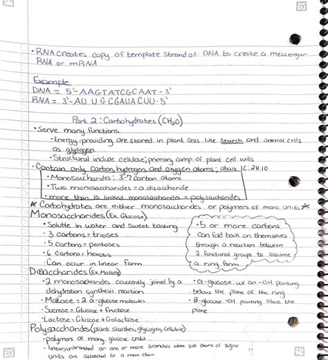 Lipids Notes BIOL1107 Studocu