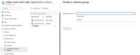 Deploy The First Sap Hana Host Using Azure Netapp Files Application
