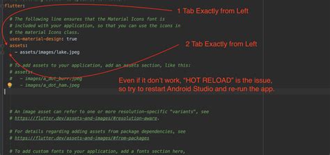 Dart Assetimage Is Not Displaying Image In Flutter App Stack Overflow