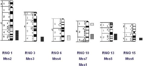 4 Seven Gene Loci Associated With Susceptibility Resistance To