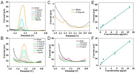 Magnetic Porous Hydrogel Enhanced Wearable Patch Sensor For Sweat Zinc Ion Monitoring