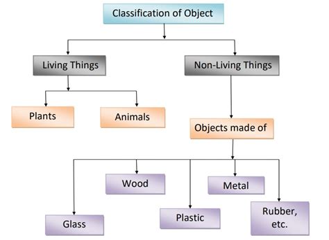 Classification Of Object Class 6 Science Lesson Sorting Materials