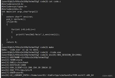 linux进程概念（下） csdn博客