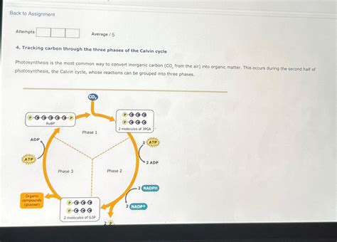 Solved Back To Assignmentattempts Average 54 ﻿tracking