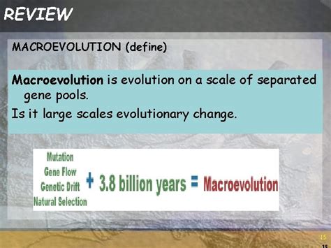 To Do How Scientists Know About Punctuated Equilibrium