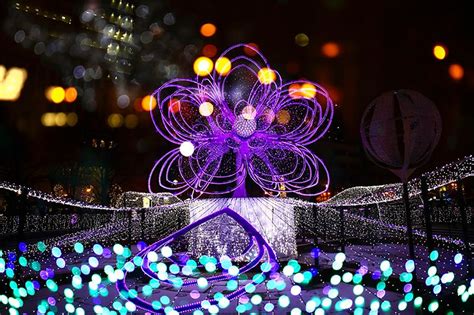 삿포로의 겨울을 만끽 추천 활동 관광 명소 Activity Japan