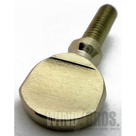 Buzz Buzz Sax Neck Fixing Screw [for Yanagisawa] Reverb