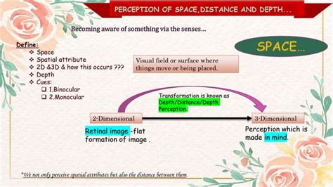 Perception Of Spacedepth And Distancepptx