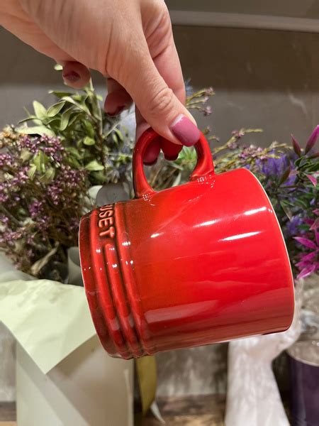 Кружка Le Creuset, 350 мл купить c доставкой на OZON по низкой цене ...