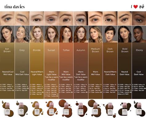Brow Daddy Color Chart Explained Illustrated Artofit