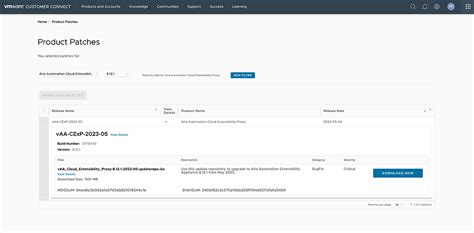 Vmware Aria Cloud Extensibility Proxy Deploy And Upgrade Runbook