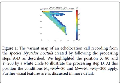 Successful Creation Of Regular Patterns In Variant Maps From Bat