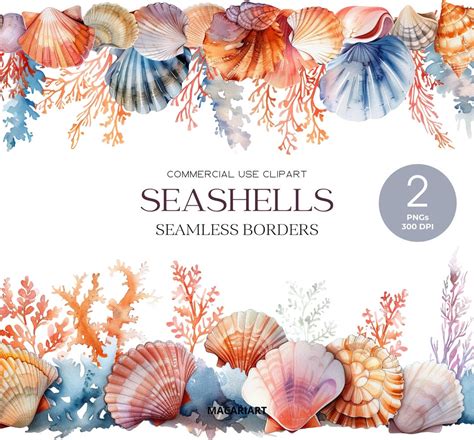 Seashell Border Clipart Sea Theme Border Ocean Decor For Card Making Seashell Png Nautical