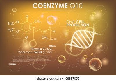 1262 Coenzyme Q10 Stock Vectors And Vector Art Shutterstock