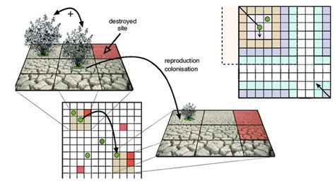 Habitat Assessment Conservation Techniques