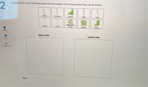 solved classify each of the following bones into the region