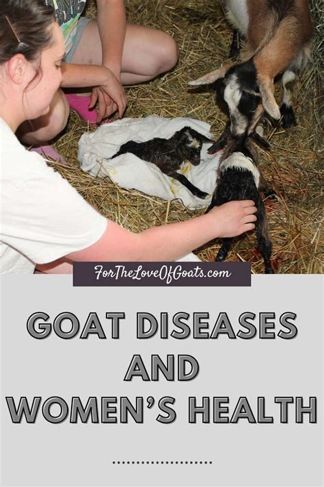 Goat Diseases And Womens Health