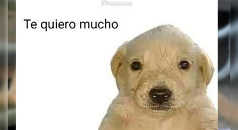 Cooporstion Wed An Lunar Loggitech