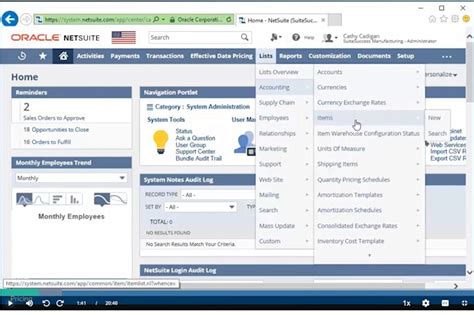Do Your Oracle Netsuite Training Individual Or Company By Seanpate